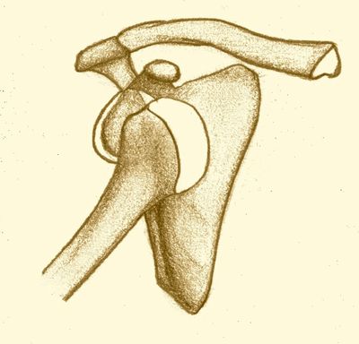 Dislocation - DISLOCATION.COM.AU