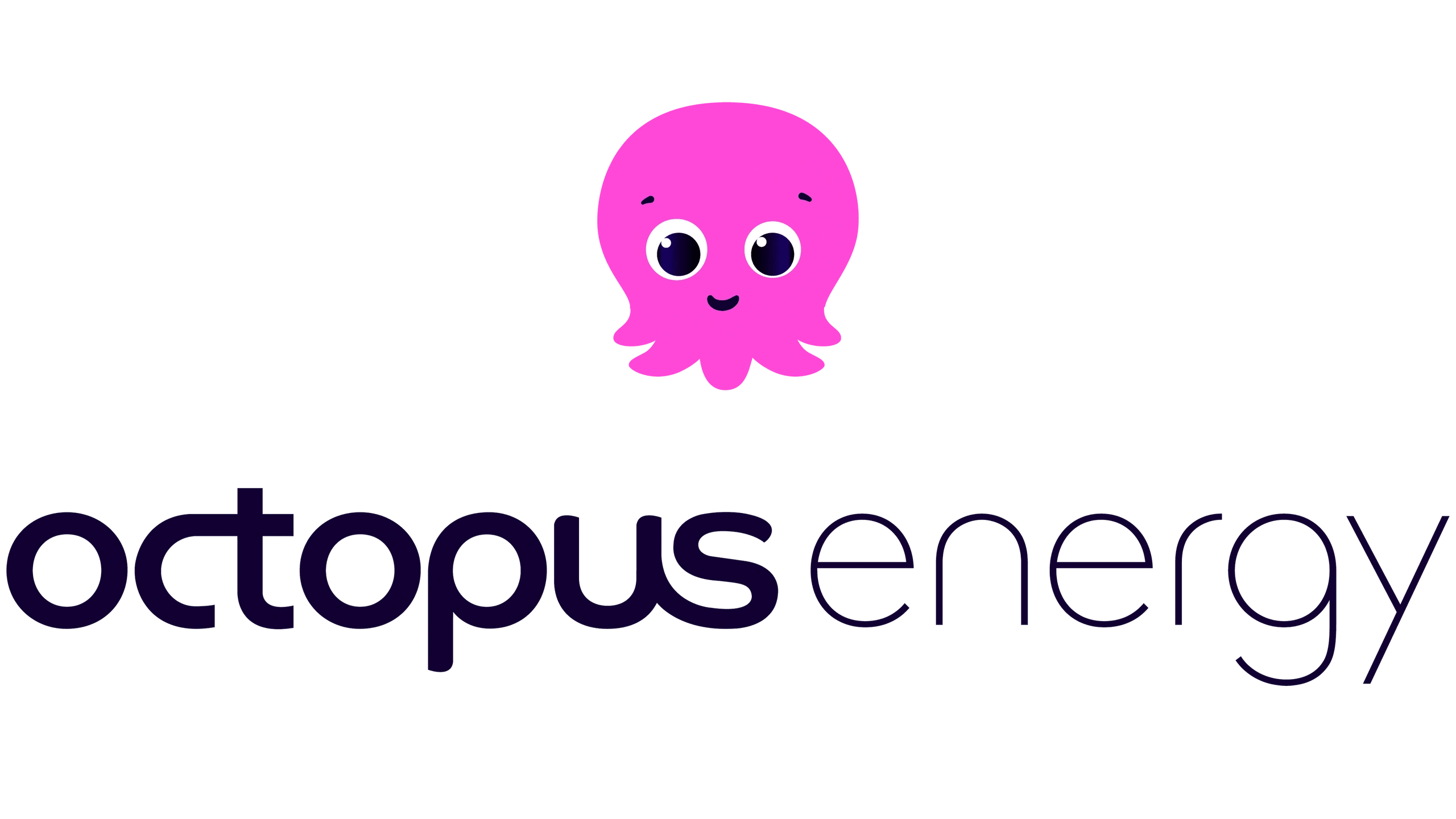 Octopus Energy no longer requires MCS certificate for SEG
