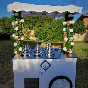 Naturalis Gelato - Gelato Catering Service, Ice Cream Mobile, Mobile ...