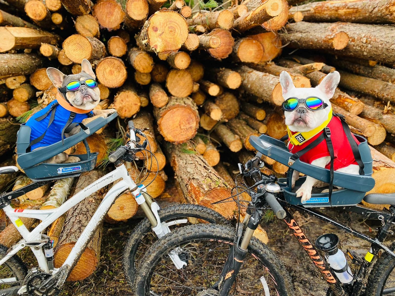 Buddy Rider - Dog Seats, Dog Seats, Bike Seats, Pet Supplies