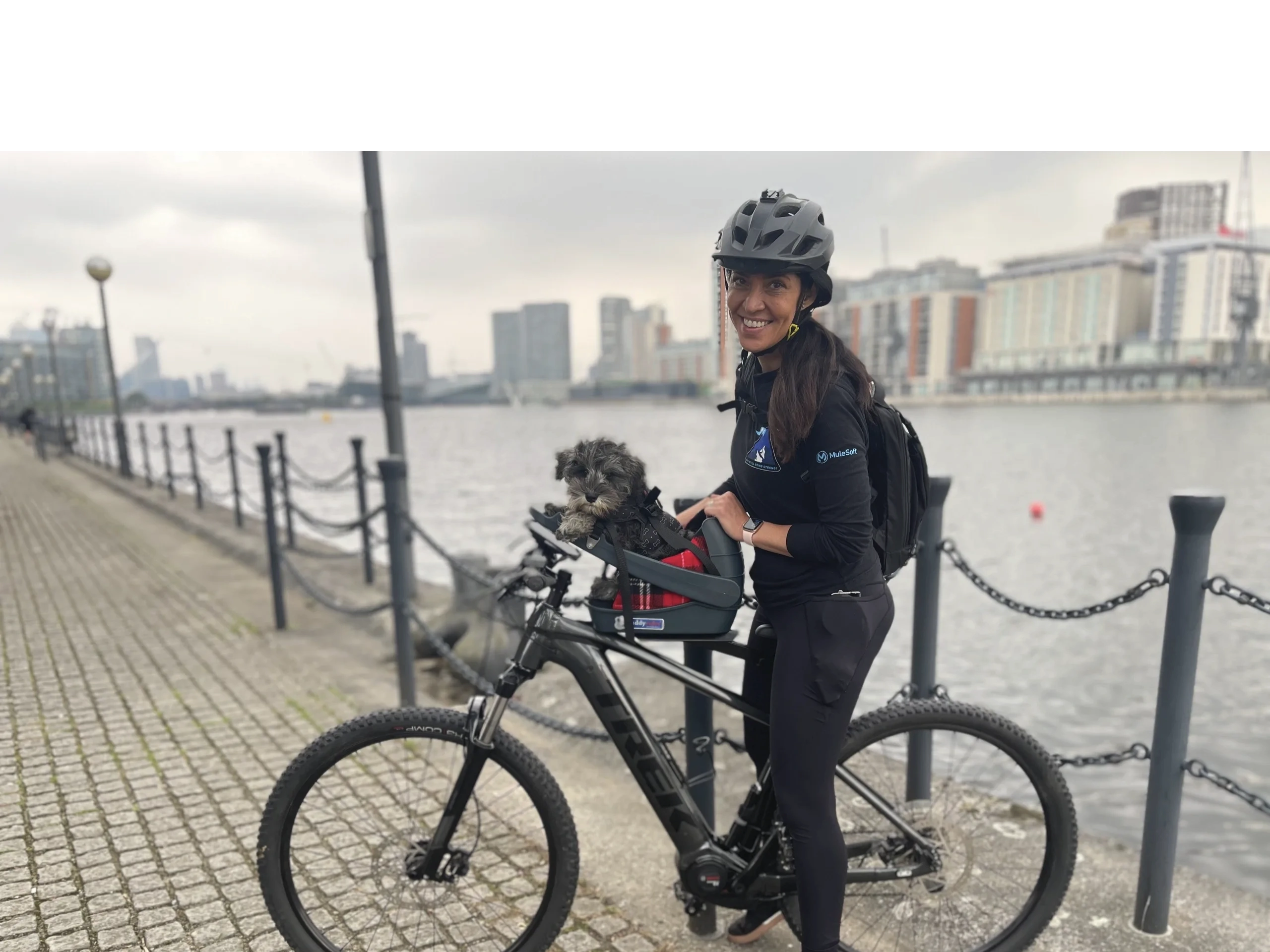 Buddy Rider - Dog Seats, Dog Seats, Bike Seats, Pet Supplies