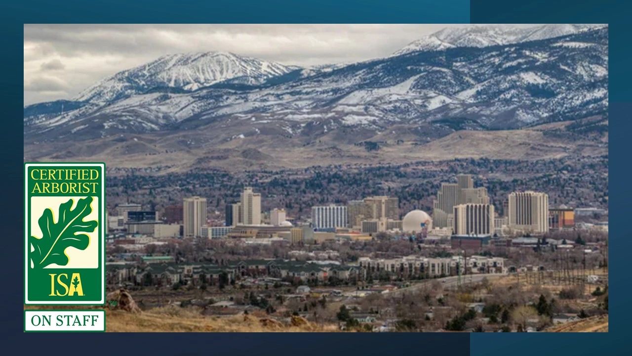 Battle Born Pest Reno