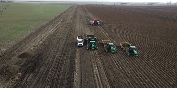 About Us | The Perry Farm