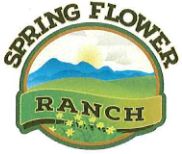 Experience the Beauty of Spring Flower Ranch