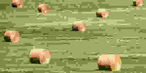 Fieldstream Farm - Christmas Light Show - Raleigh, North Carolina