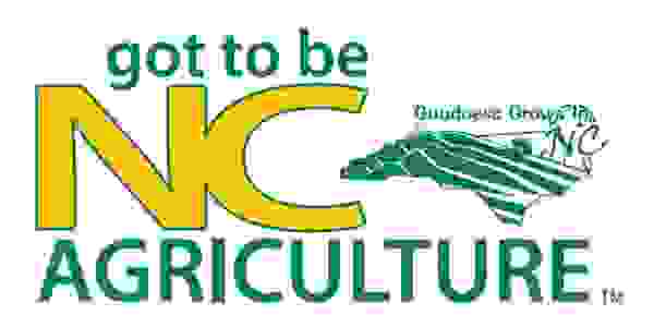 Fieldstream Farm - Christmas Light Show - Raleigh, North Carolina