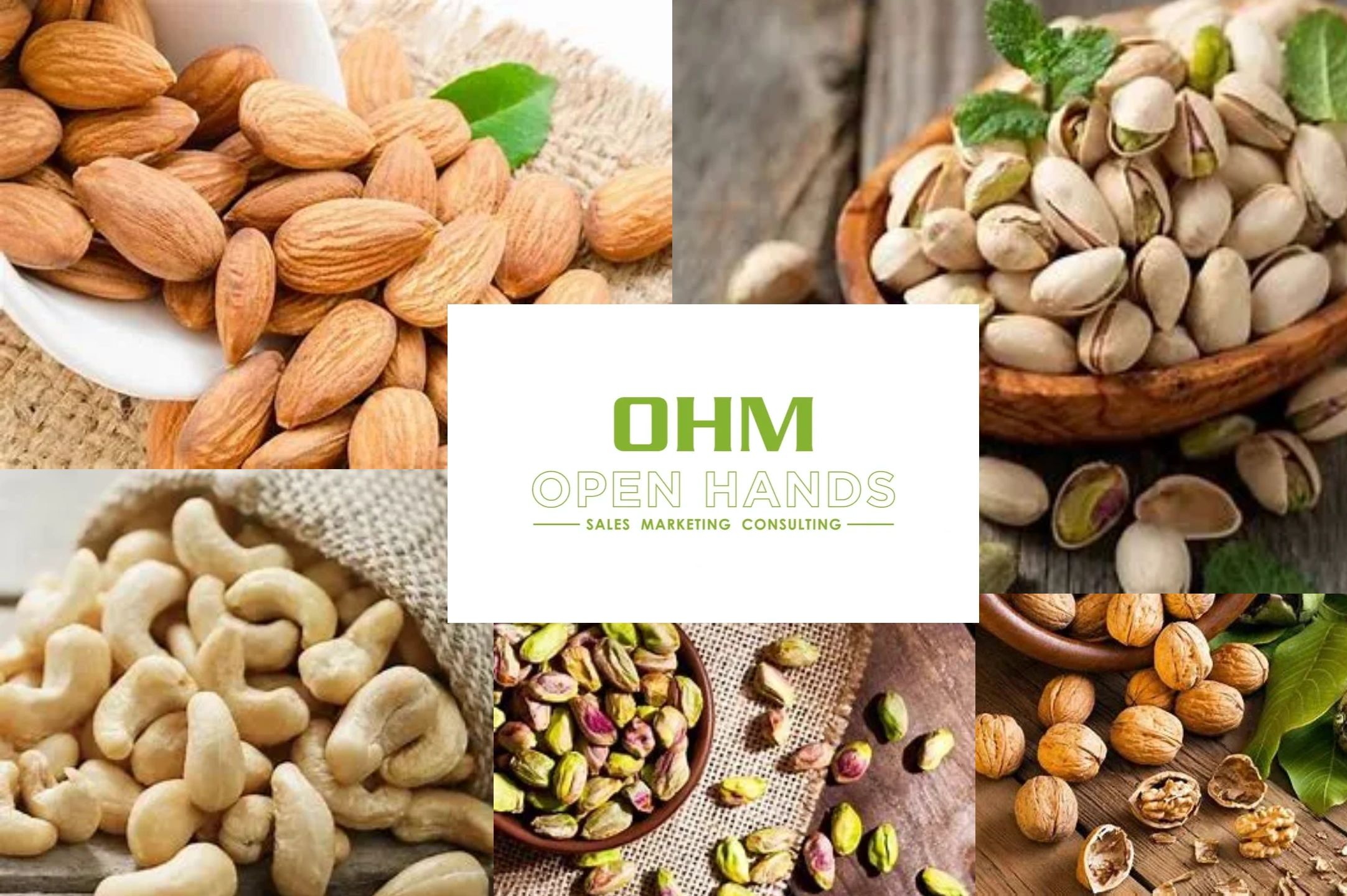 Open Hands Marketing