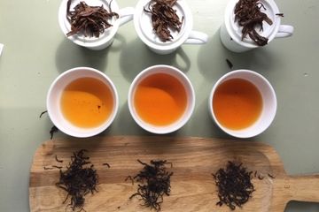 Gammaduwa Bungalow - Bed and Breakfast, Guest House