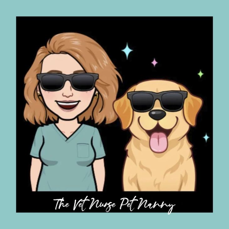 The vet nurse pet nanny