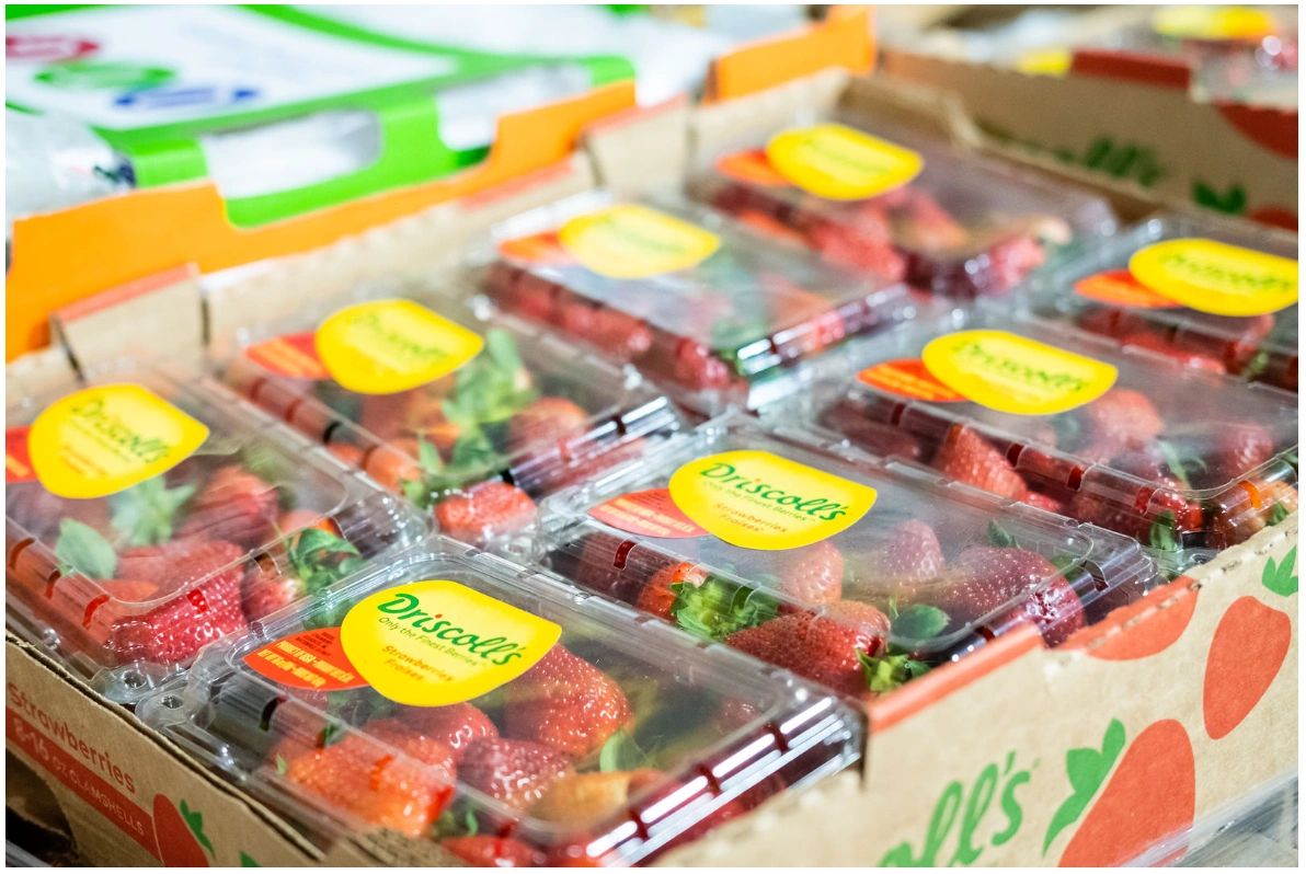 Badger Wholesale Foodservice - Home