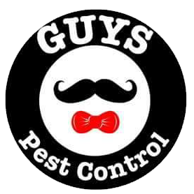 Guys Pest Control