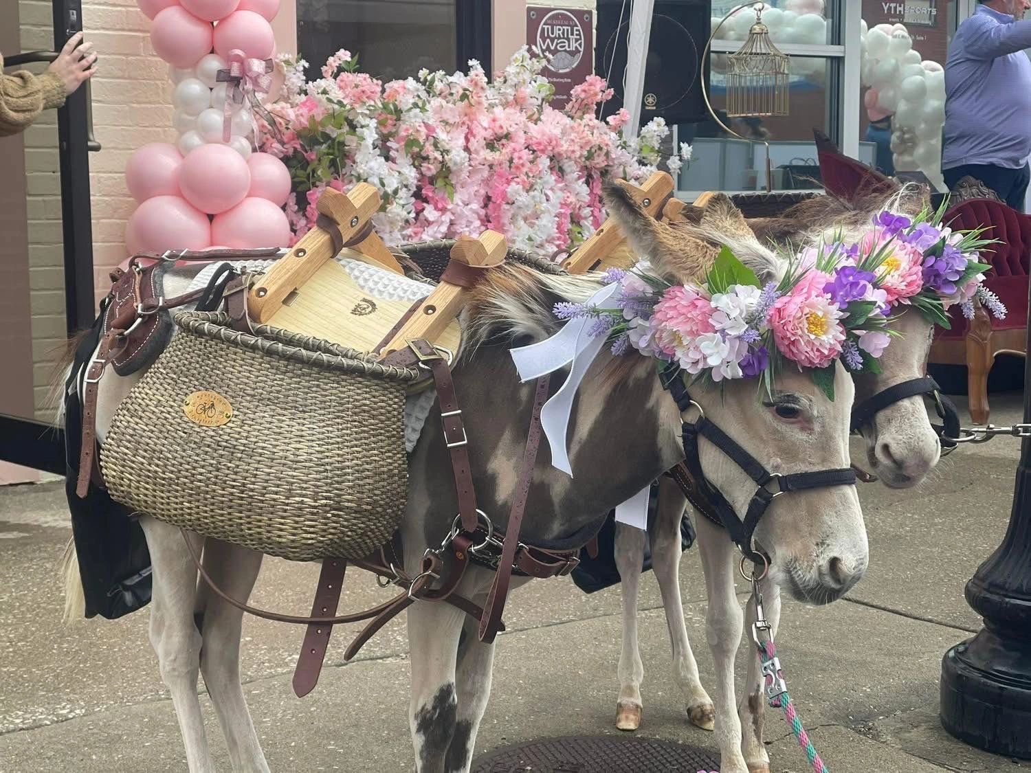 Beverage Burros at Blythewood Farm