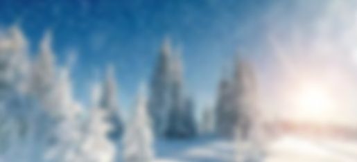 Best Pizza Near Me | Back Alley Pizza Joint