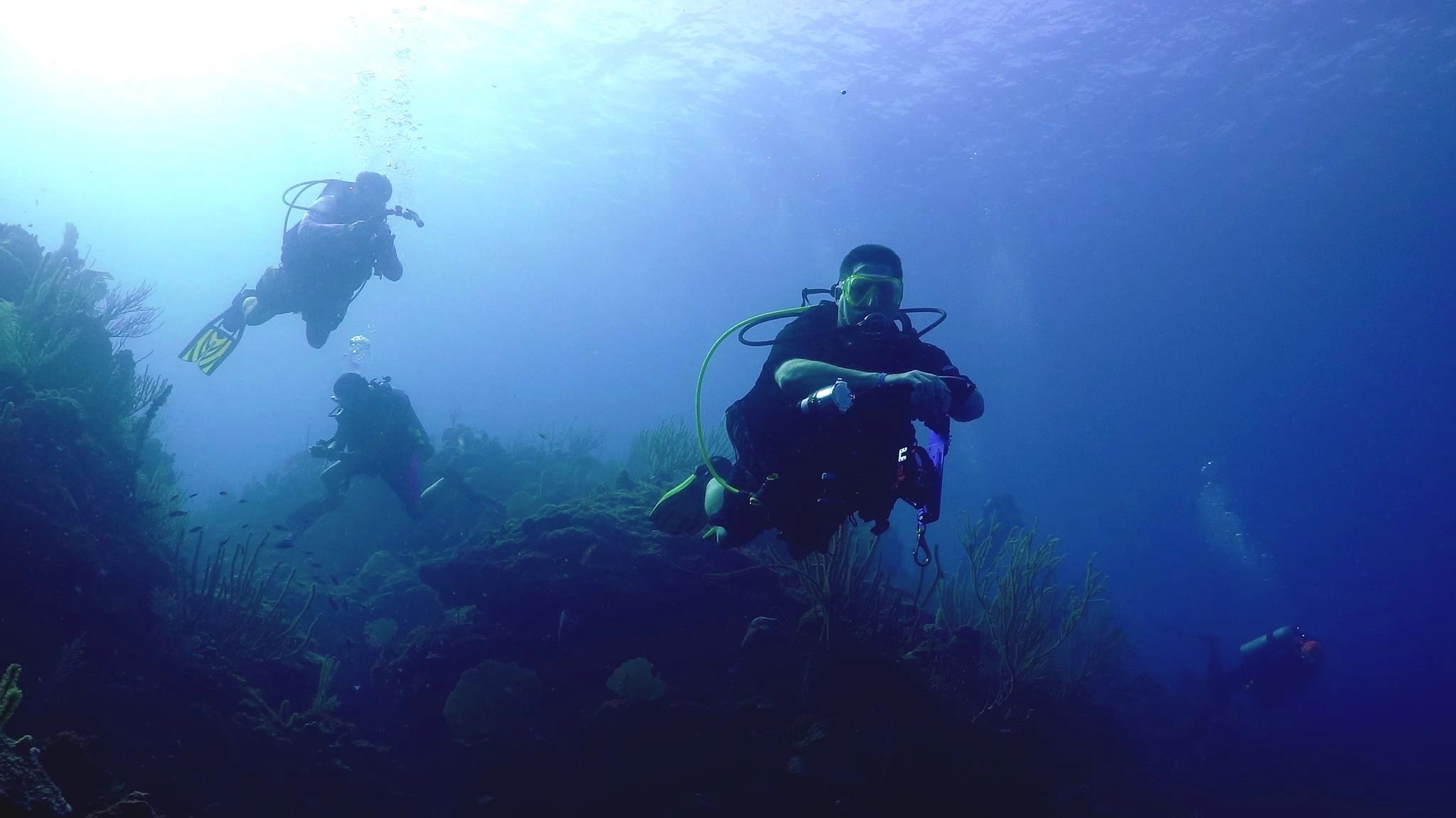 Padi Cert Level Chart