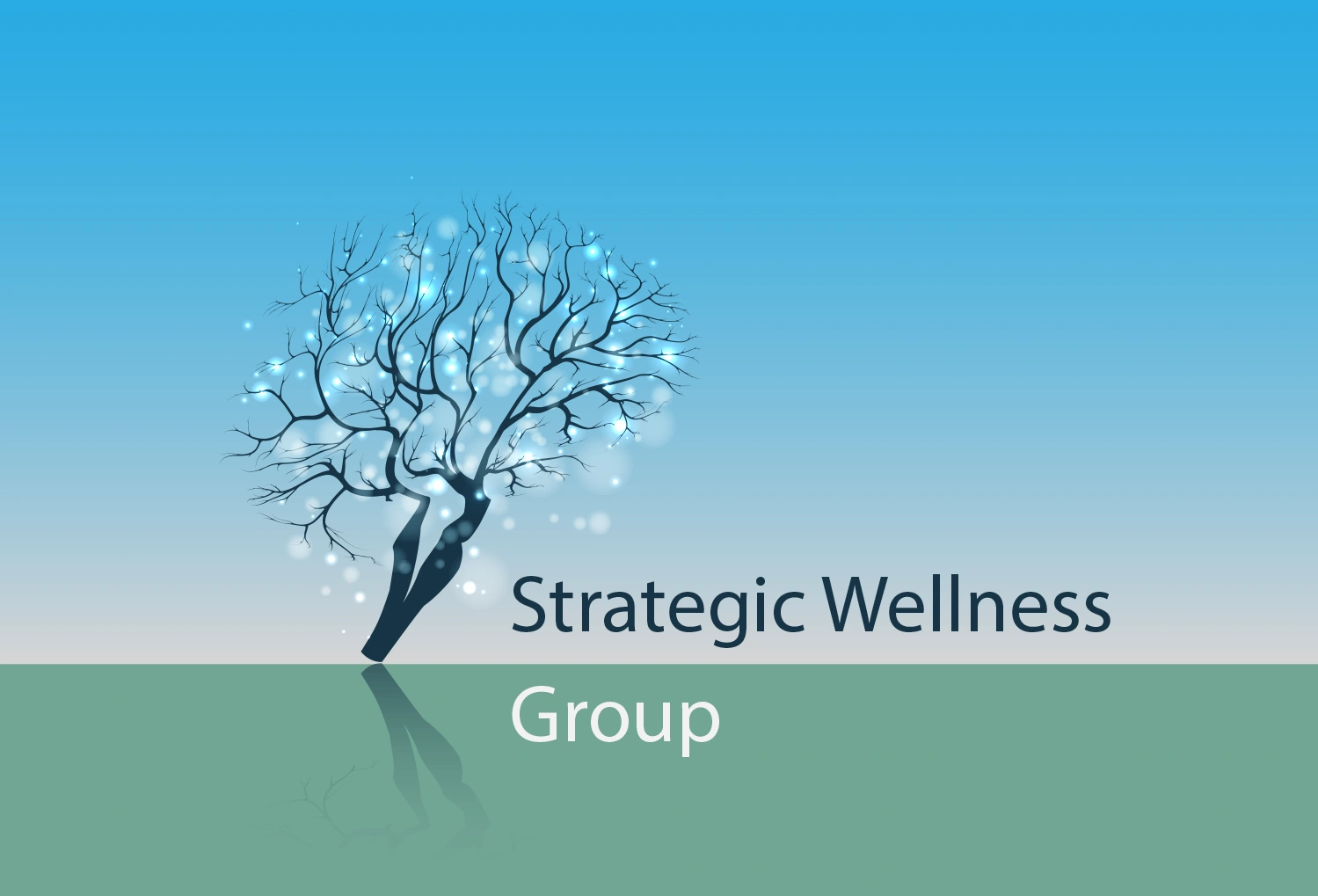 Strategic Wellness Group - Wellness Program, Leadership Training