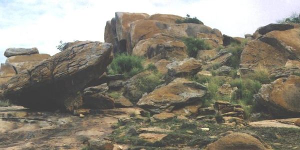 Biodiversity | Rock Outcrops of India