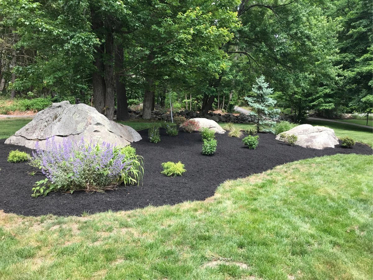 Landscaping - Merrimack Properties - Westford, Massachusetts