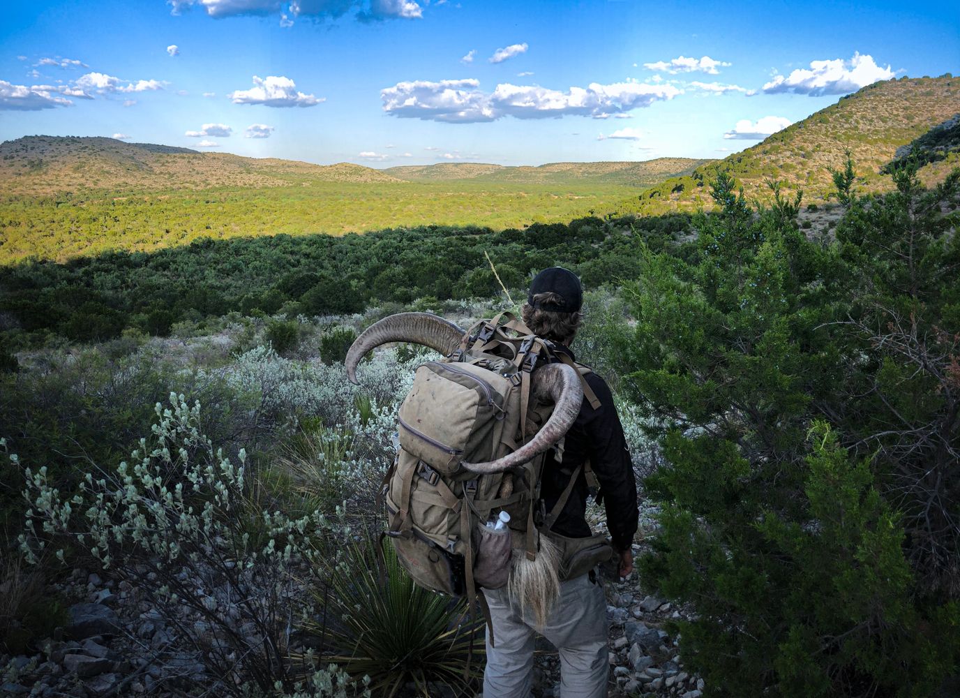 Safari Specialists Group - Guided Hunts