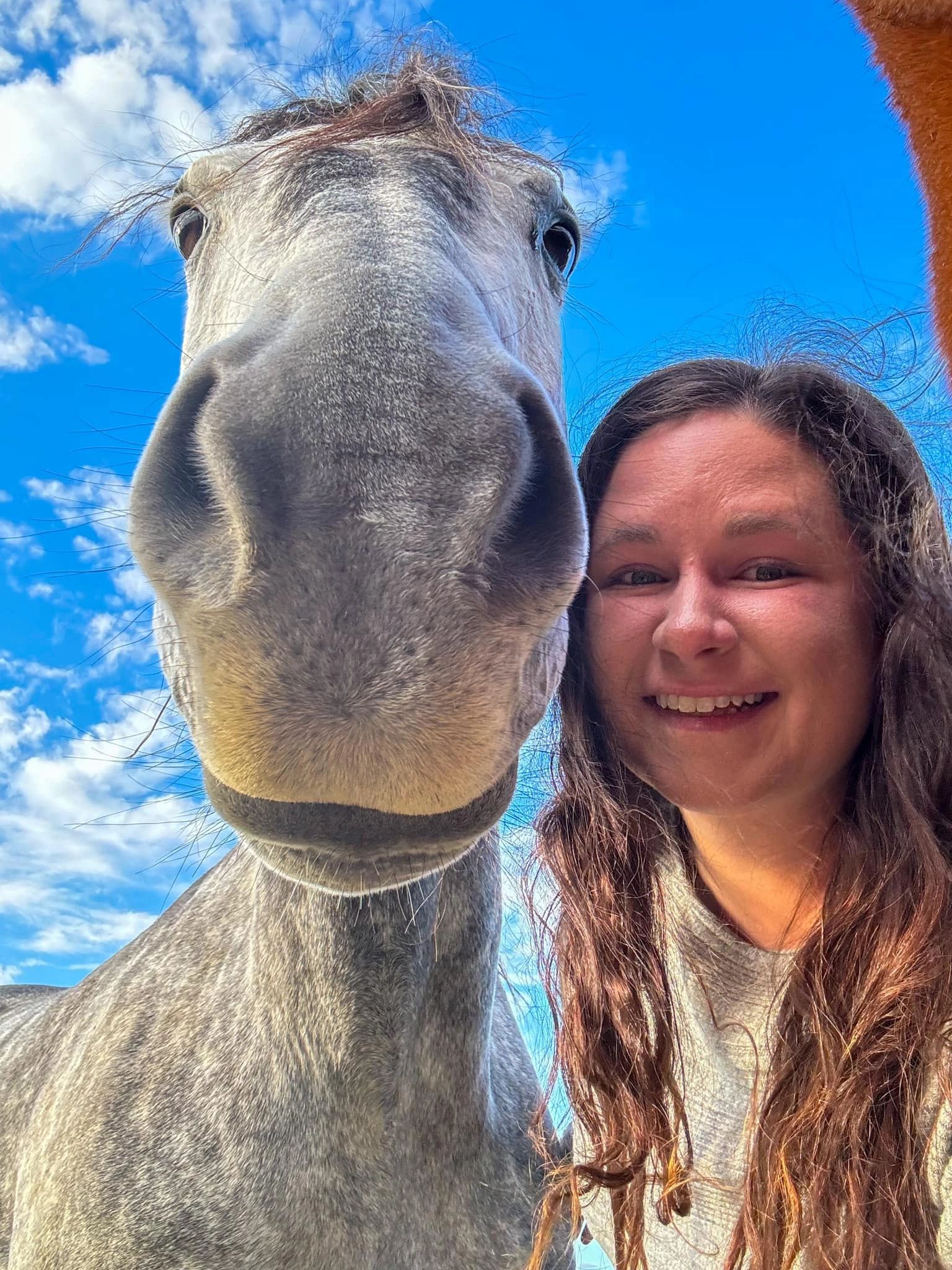 Welcome to Wild Willow: A Journey of Gratitude and Connection