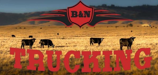 Trucking Services | BN Trucking