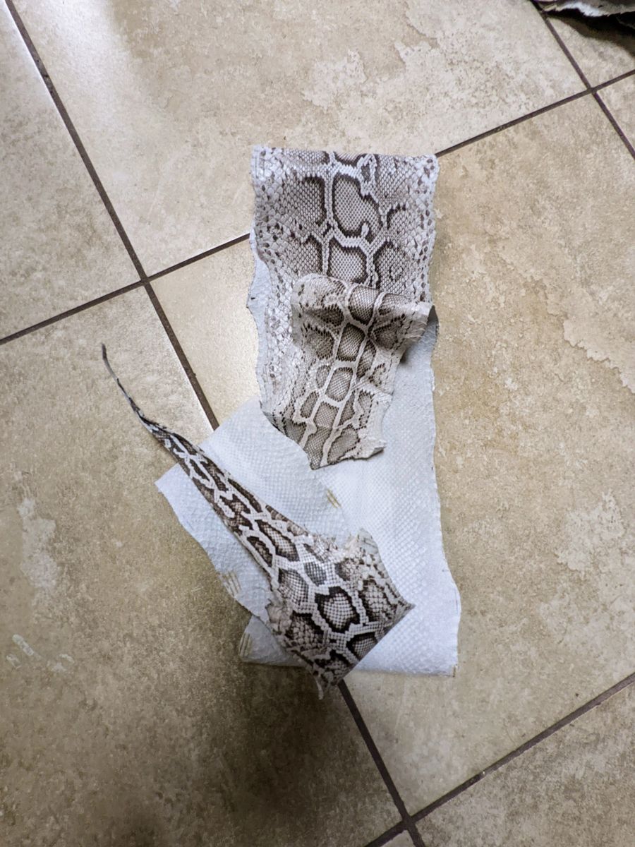 Genuine Florida Burmese Python Leather Hide 6'