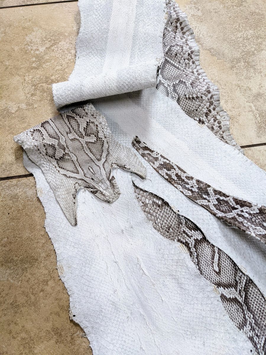 Genuine Florida Burmese Python Leather Complete with Head and Tail 11' 3"