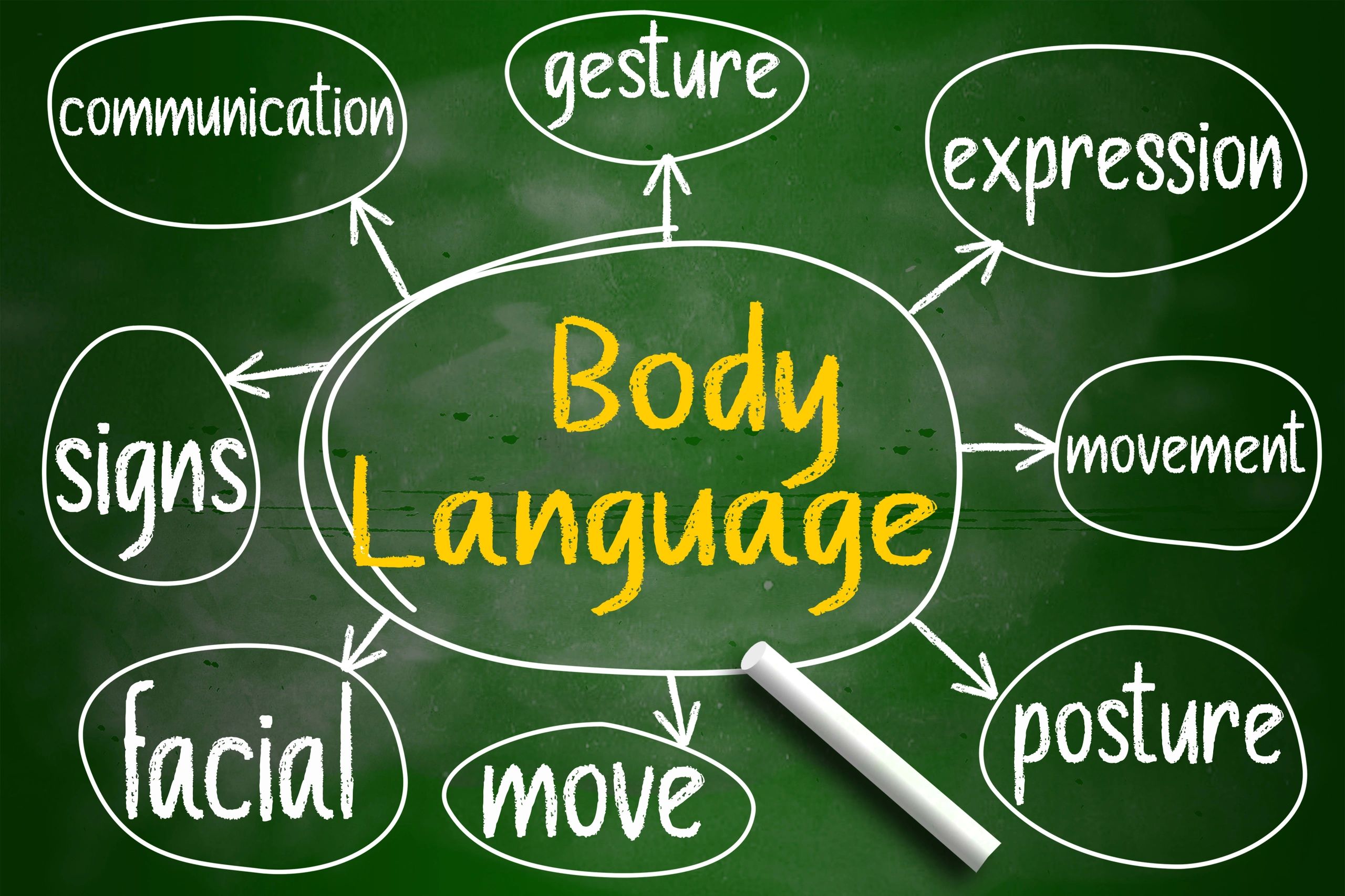 The Importance of Body Language