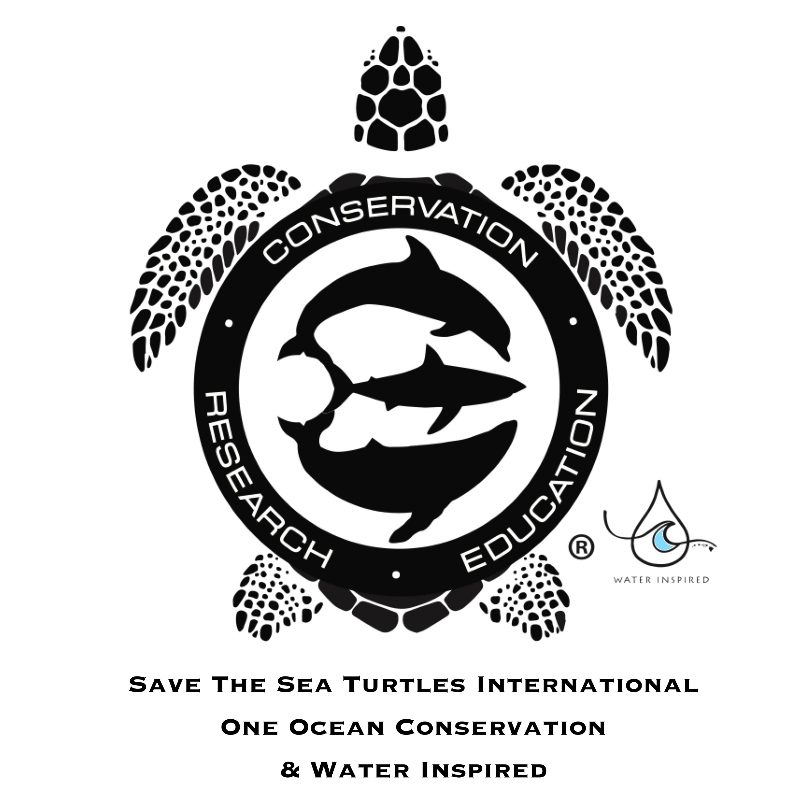 SAVE THE SEA TURTLES INTERNATIONAL