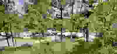 Pine Ridge RV Park - Rv Park - Ruidoso, New Mexico