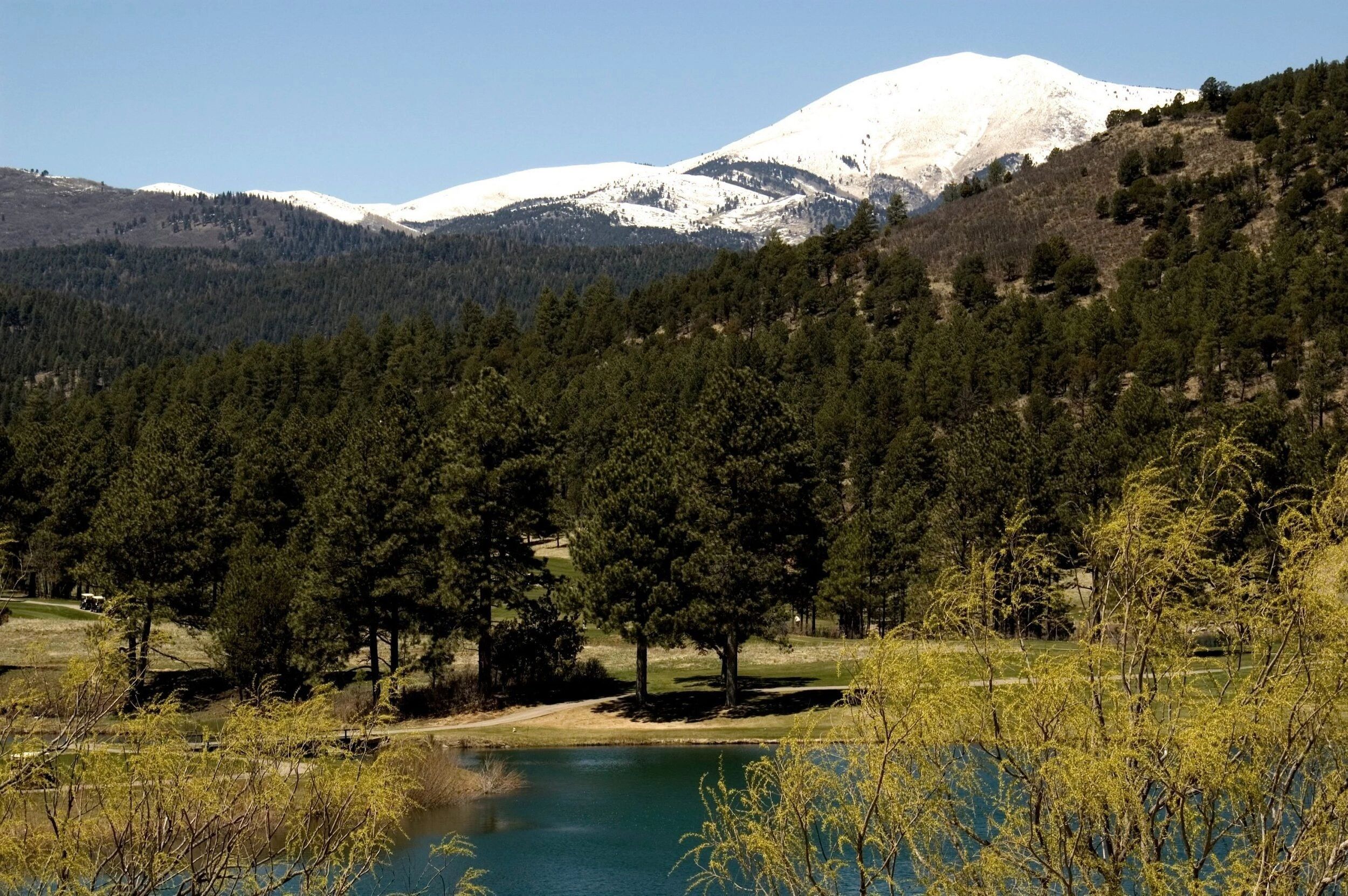 Pine Ridge RV Park - Rv Park - Ruidoso, New Mexico