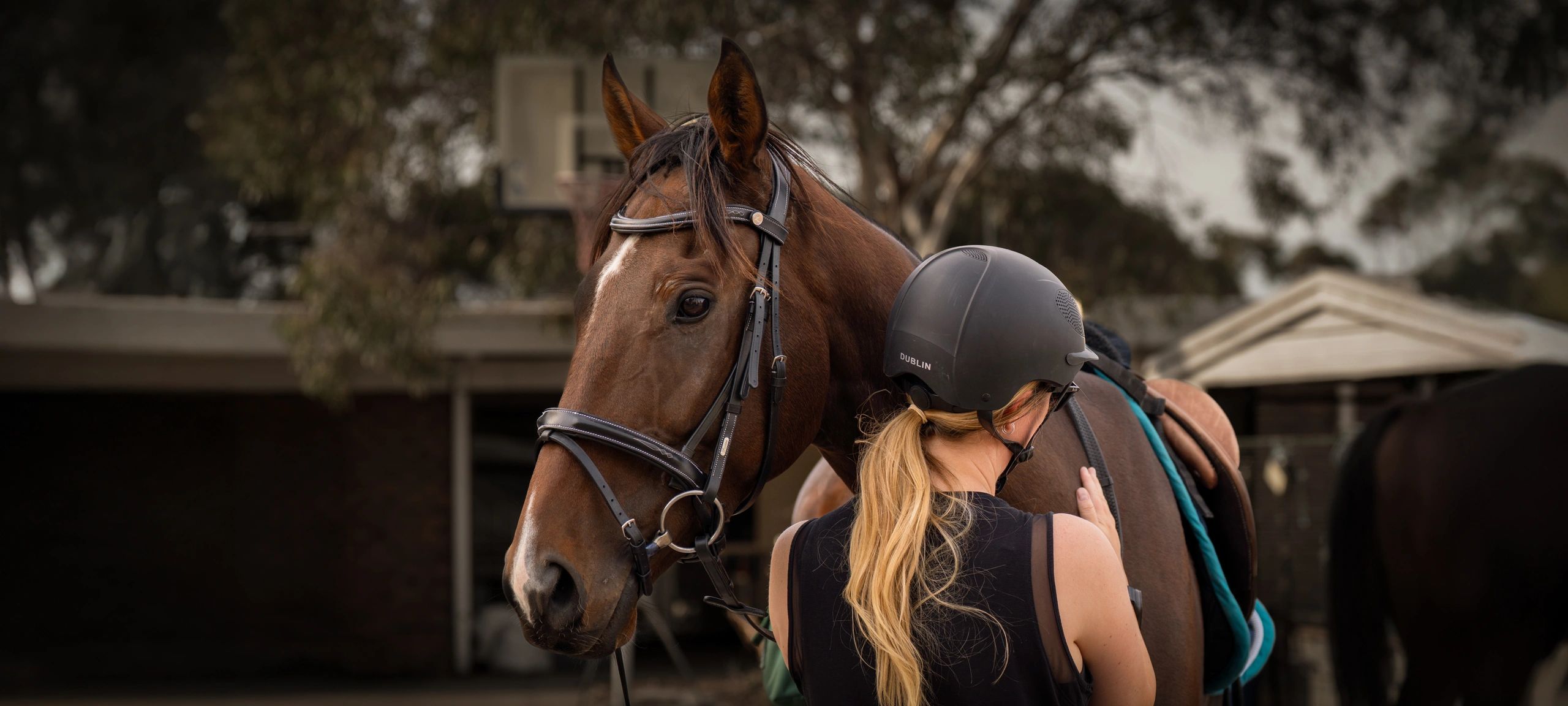 Explore Horseback Riding Jumping Lessons at Sunflower Stables