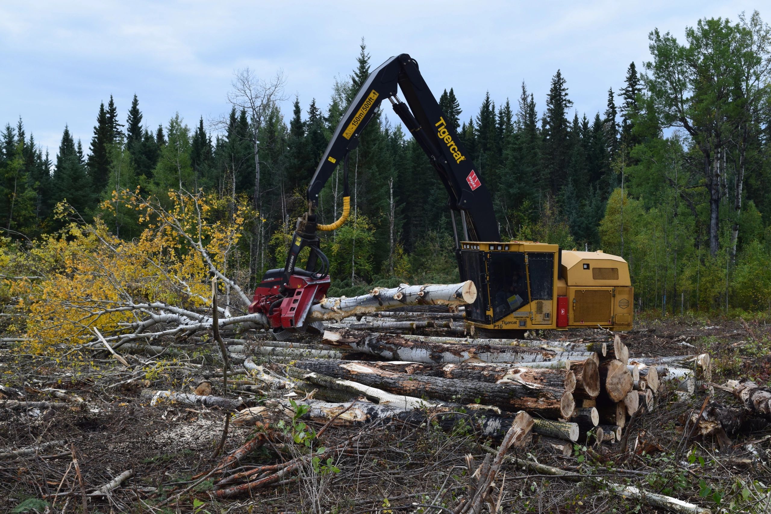 Logging, Gravel Haul - Sureway Logging Ltd. - Grande Prairie, Alberta