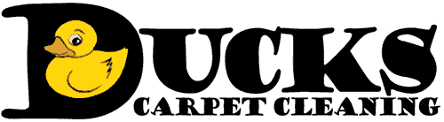 Services | Ducks Carpet Cleaning