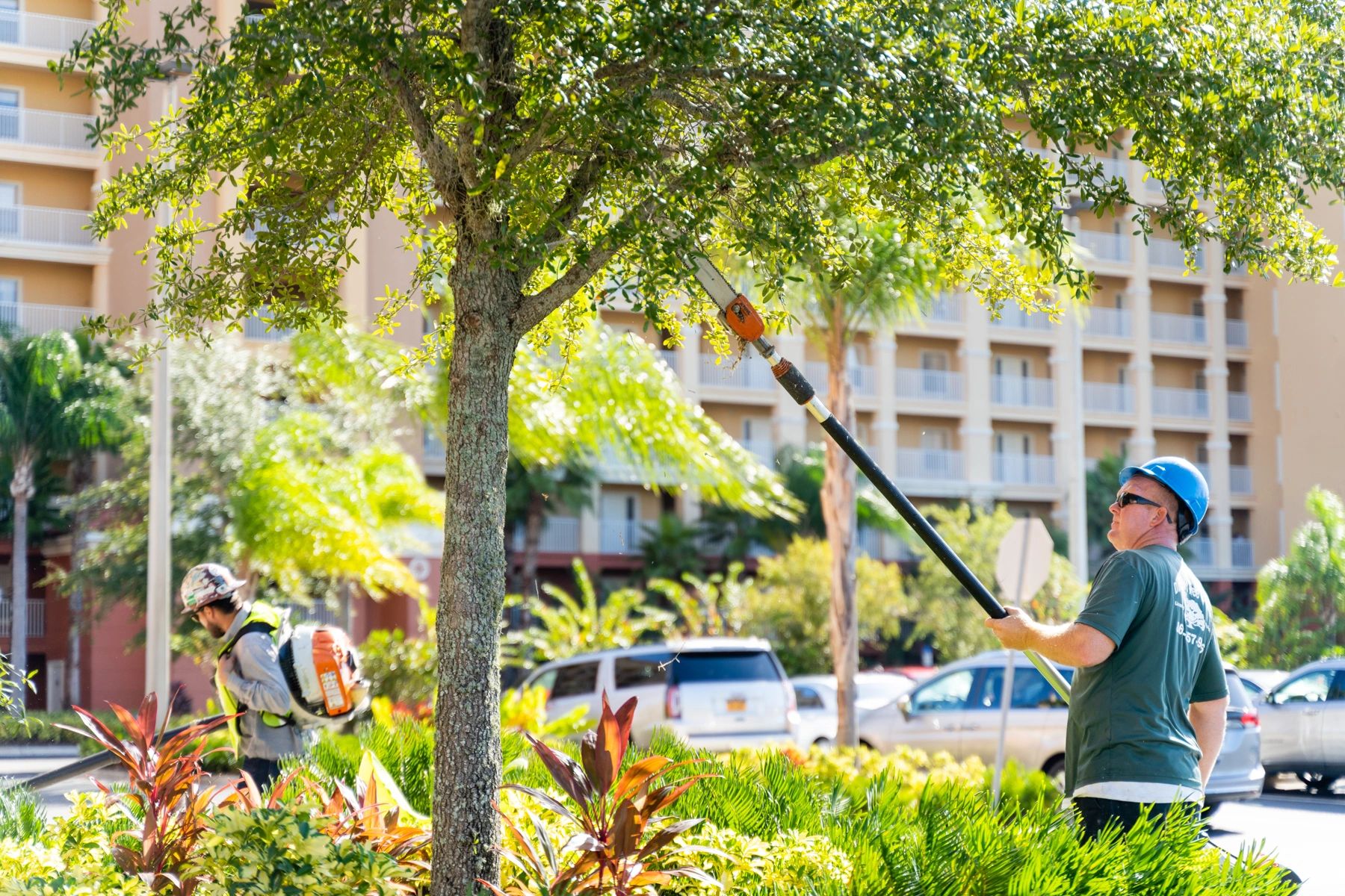 Durham's Tree Service - Tree Specialist, Professional Tree Care ...