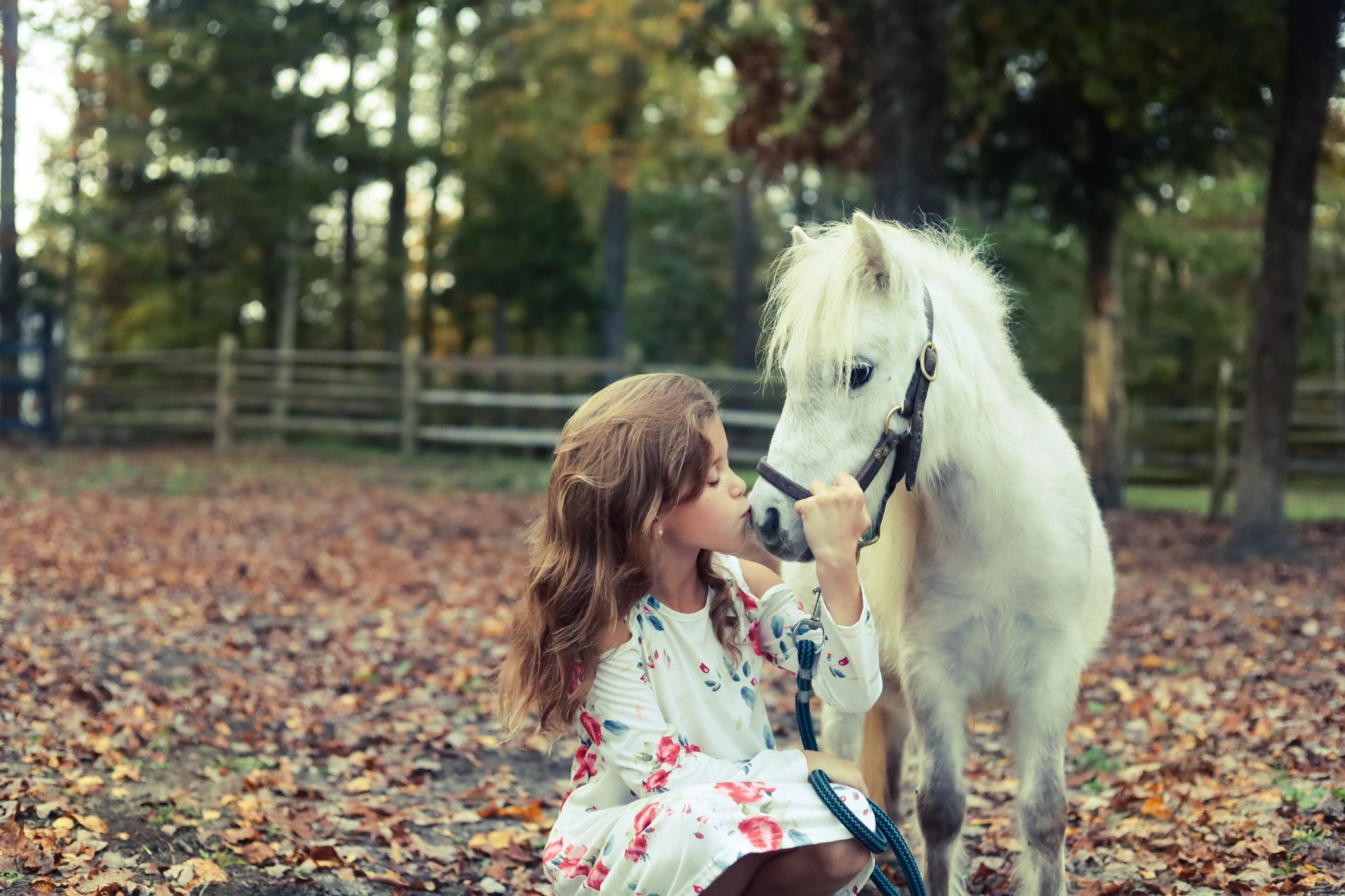 Starfish Equine Rescue, 501 (c)(3)