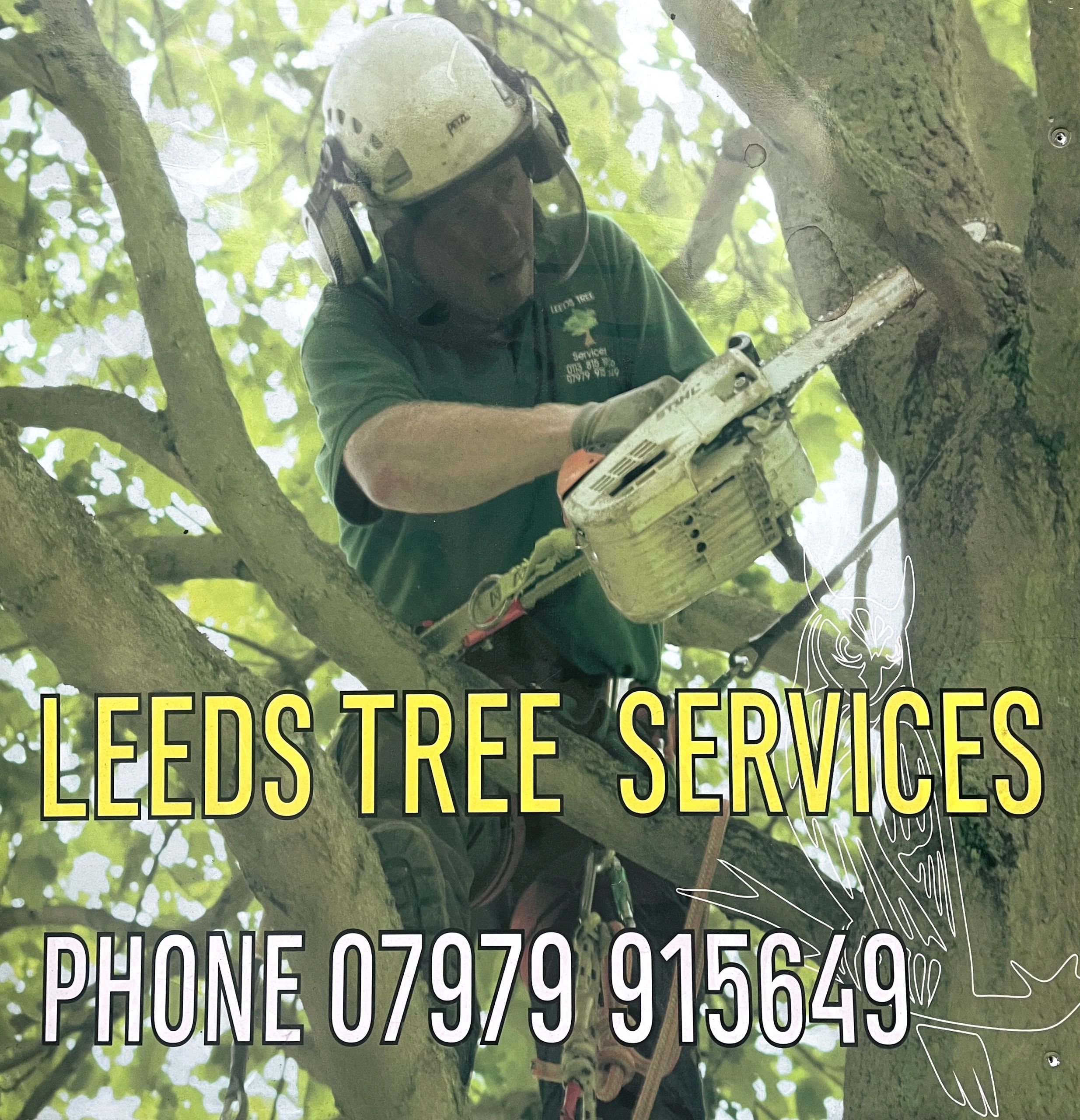 Leeds Tree Services - Tree Surgeon