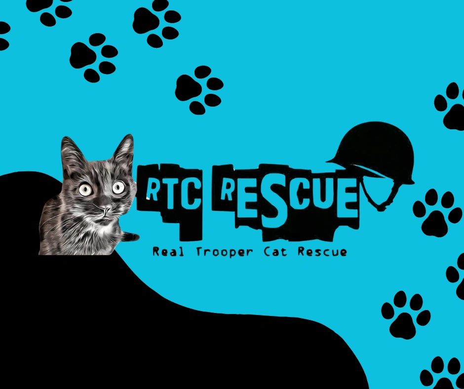 Real Trooper Cat Rescue