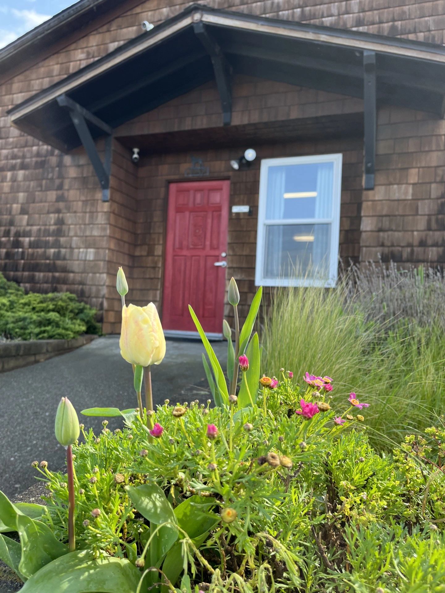 Whisker City Boarding