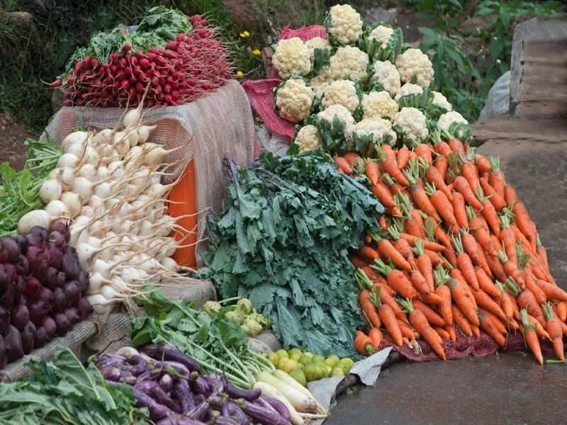 Winter Vegetable Seeds 12 Pack