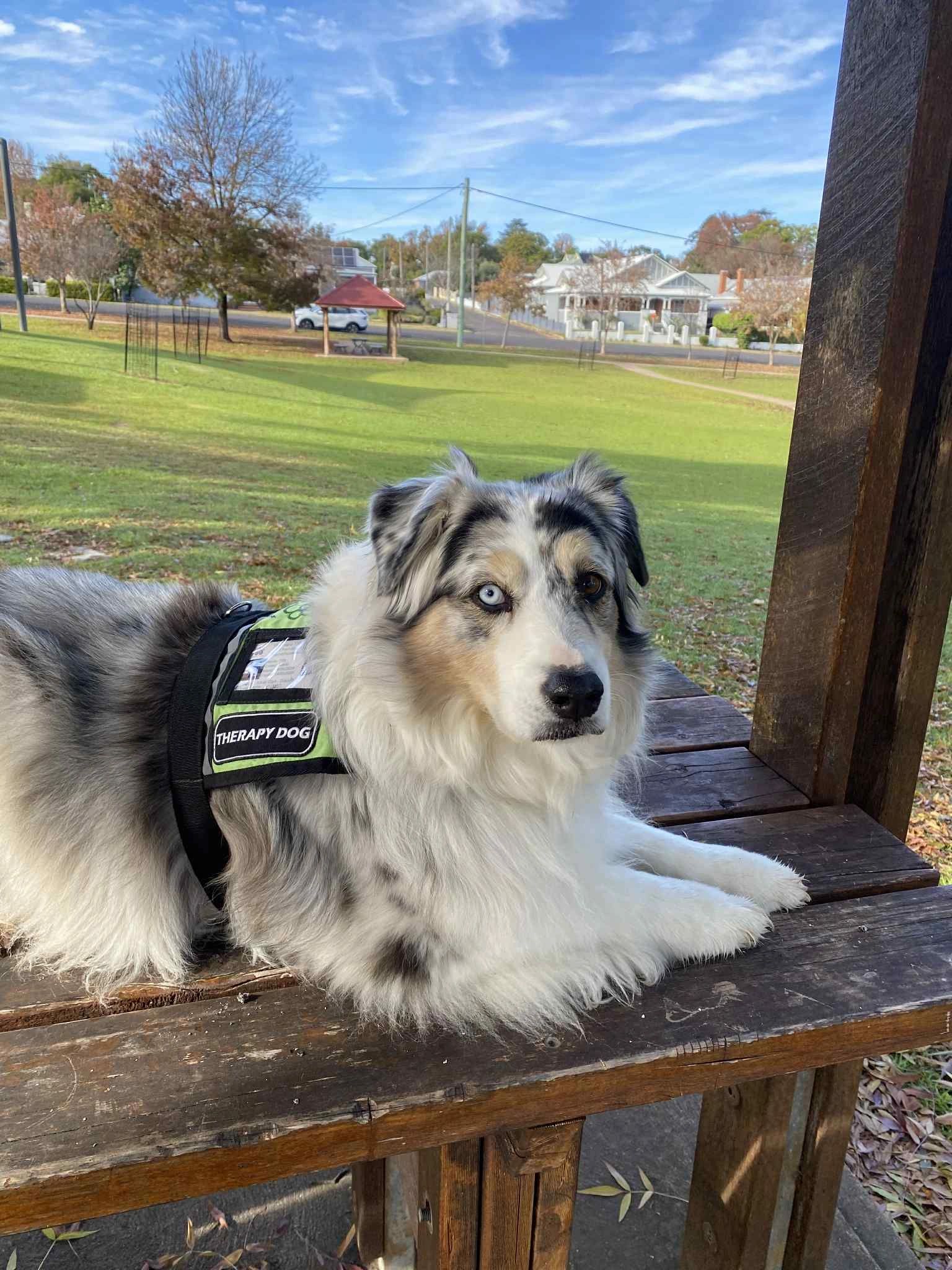 Blended Learning Course