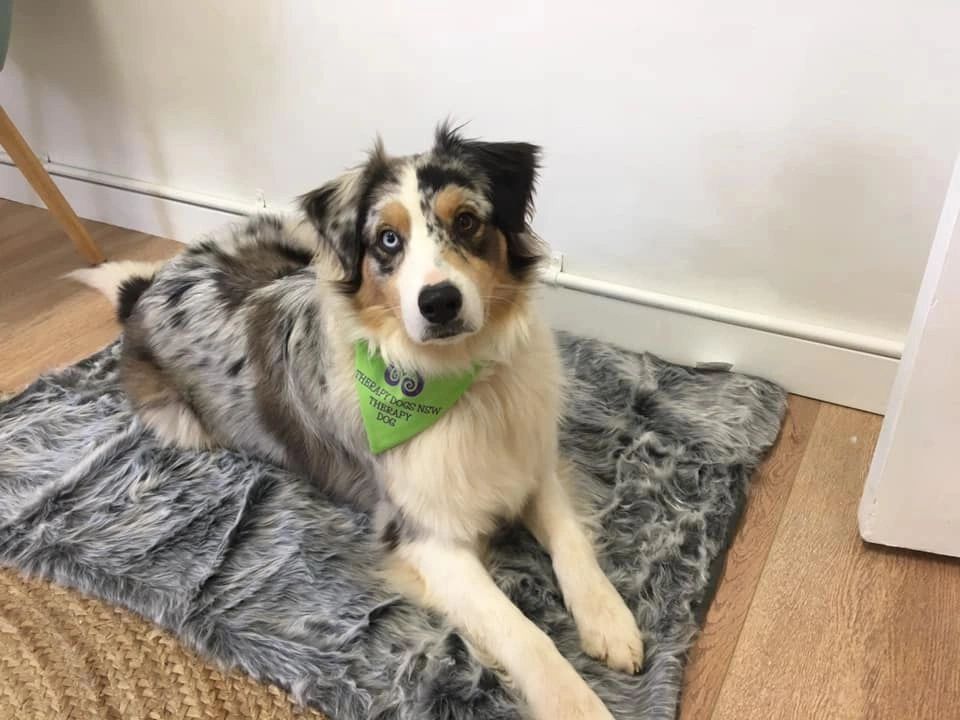 4 Day Intensive School