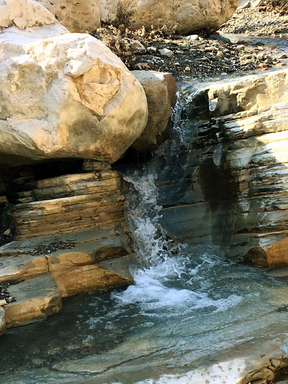 Fontech Health Management, Ltd.