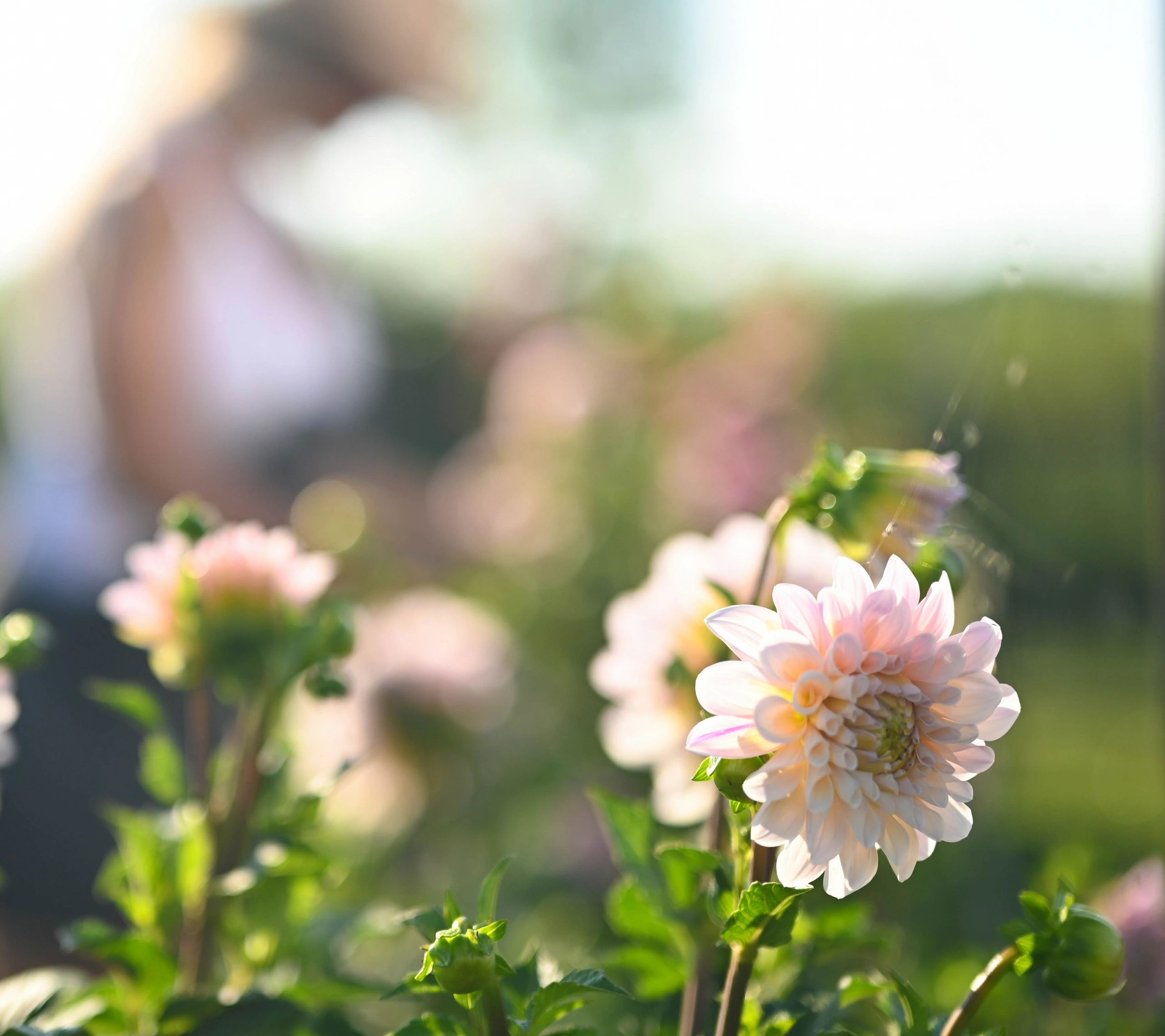 Fresh Air Farms - Home Goods, Hand Crafted