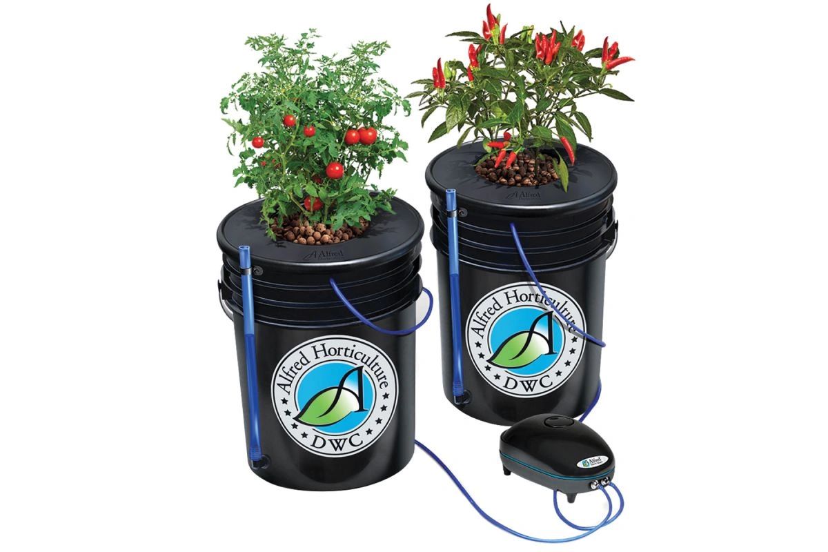 ALFRED DWC 2-PLANT SYSTEM