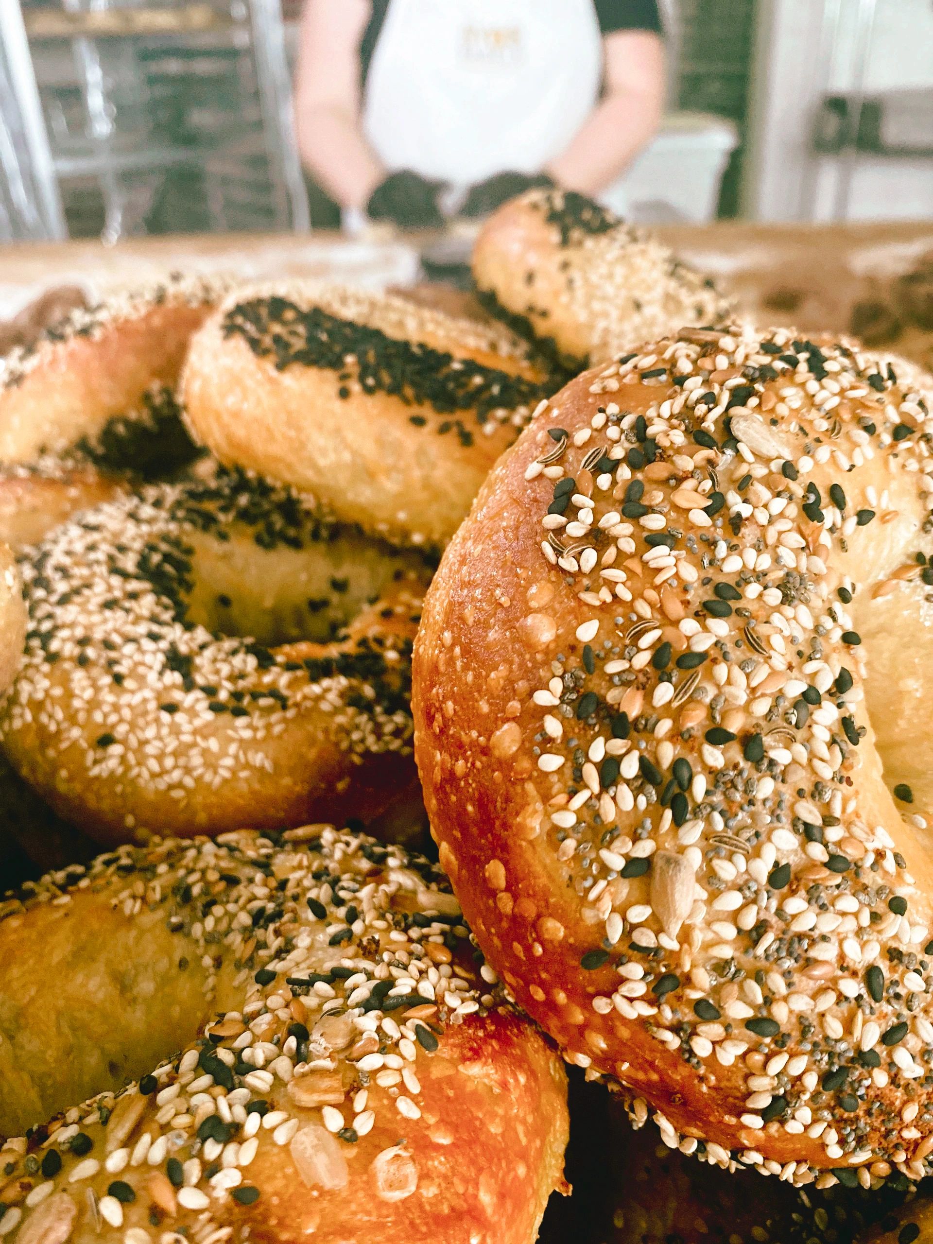 Hidden Bagel - Scratch Made Bagels, Organic Coffee