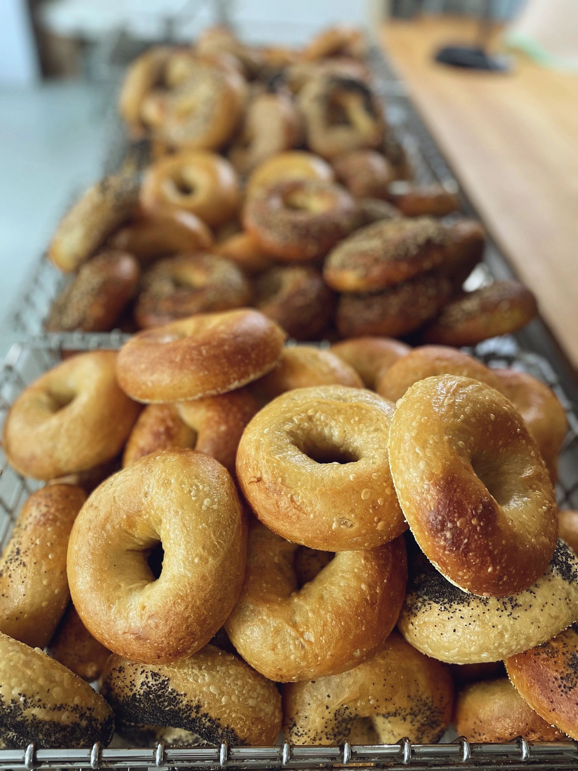 Hidden Bagel - Scratch Made Bagels, Organic Coffee