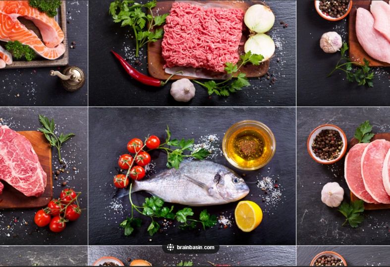 Building Blocks of Life: Part 4 (Fats)