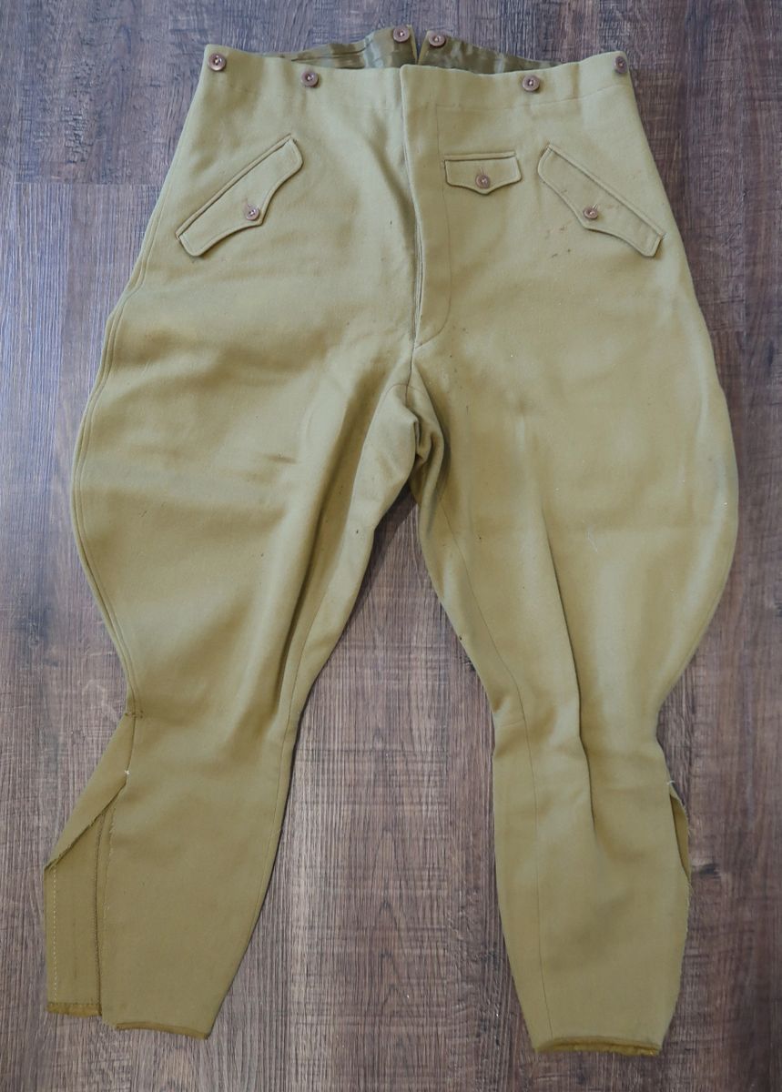 NSDAP Political Leader Breeches