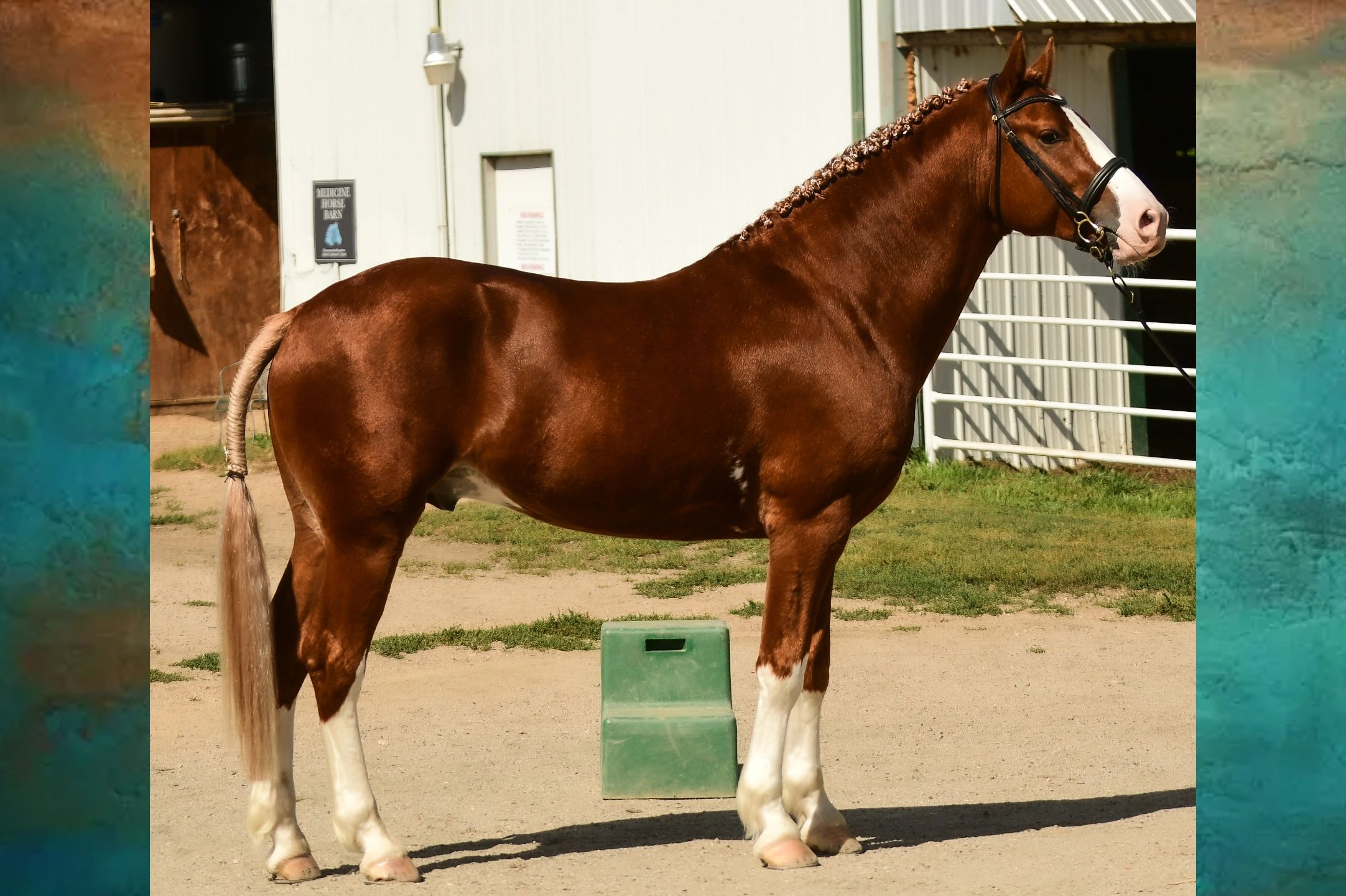 Dripping Chrome Ranch