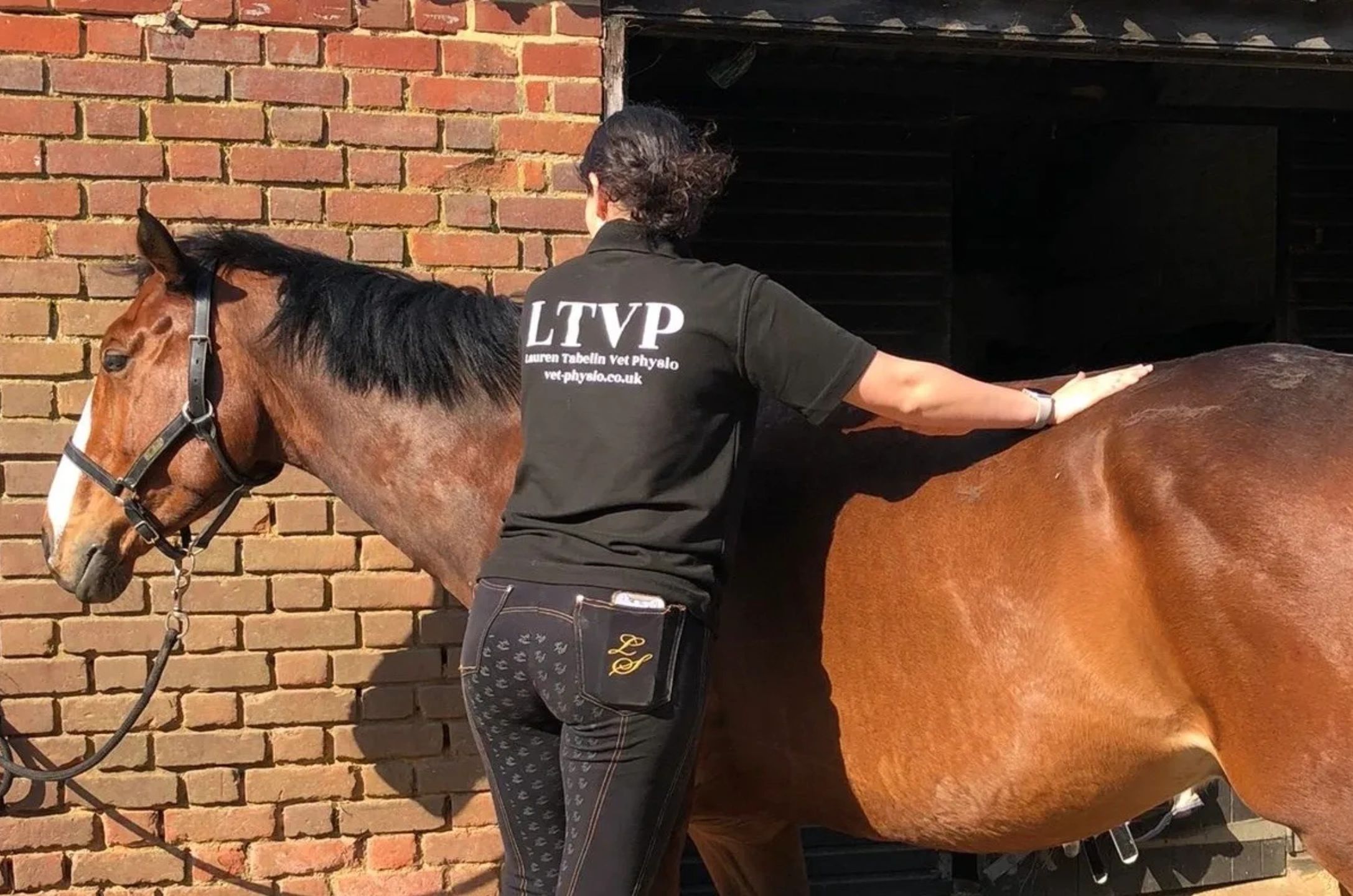 Veterinary Physiotherapy Services | About Veterinary Physiotherapy